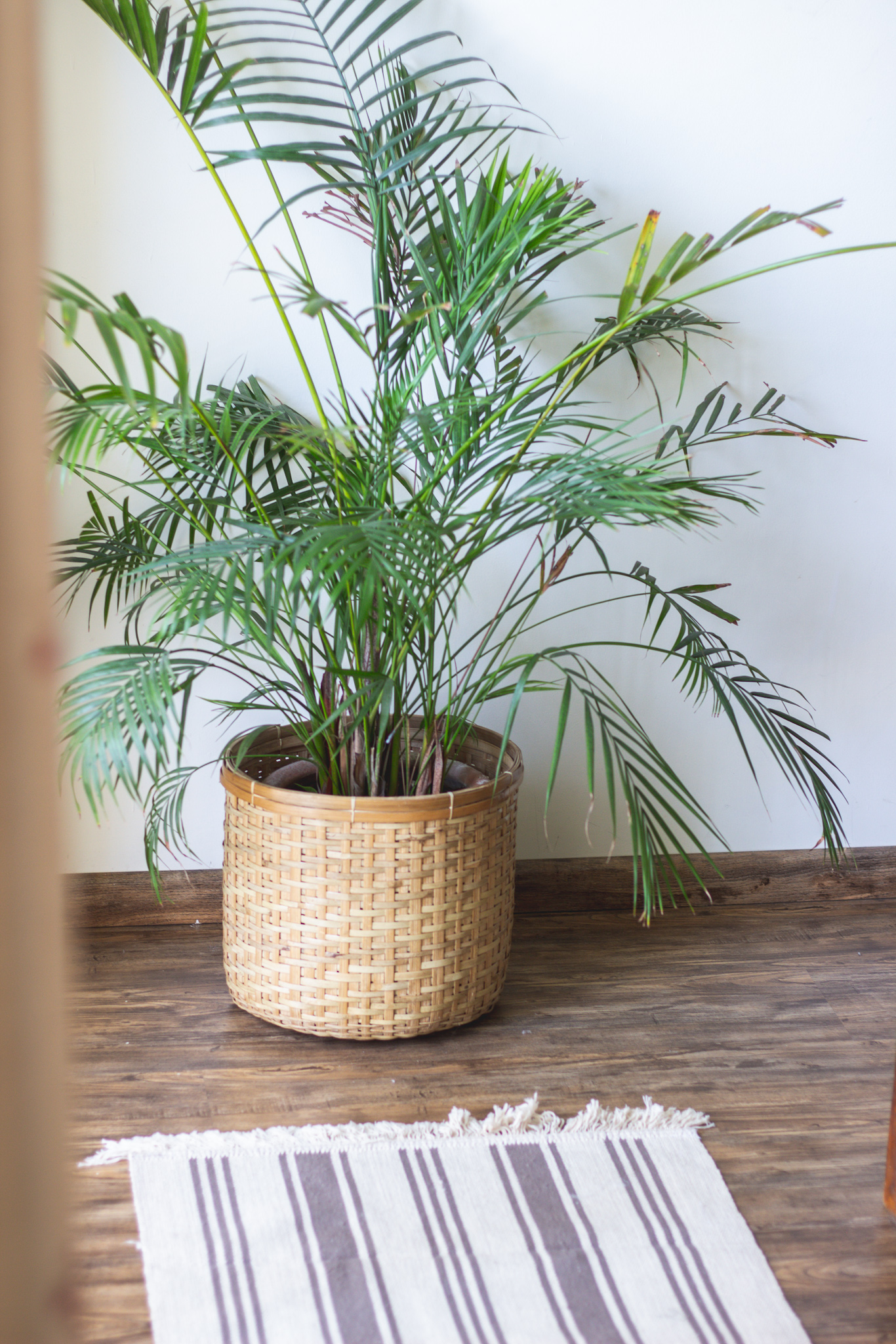 20 simple ways to Achieve the Farmhouse Look in Indian Homes